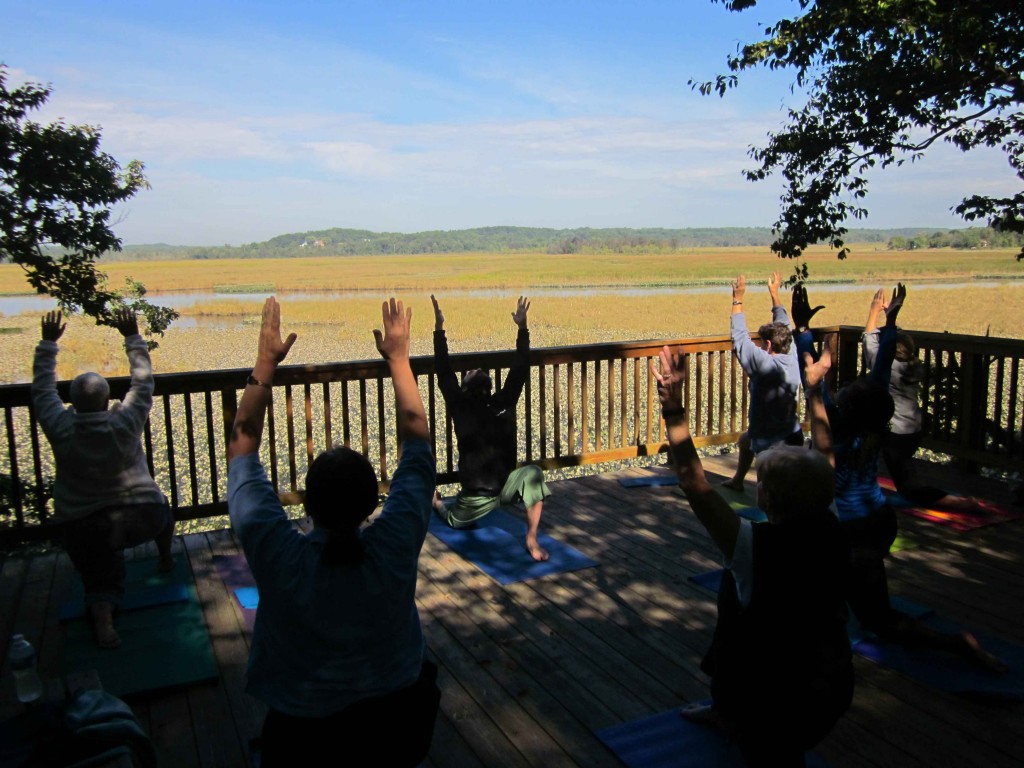 An Interesting Week… - Renaissance Yoga