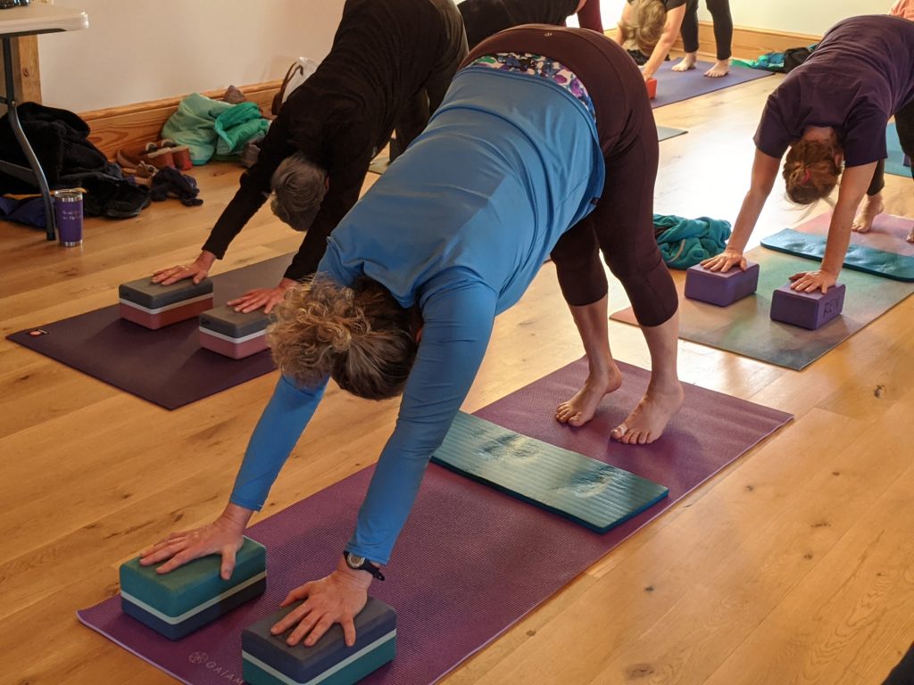 The Plank Challenge: Sep 2023 - Renaissance Yoga